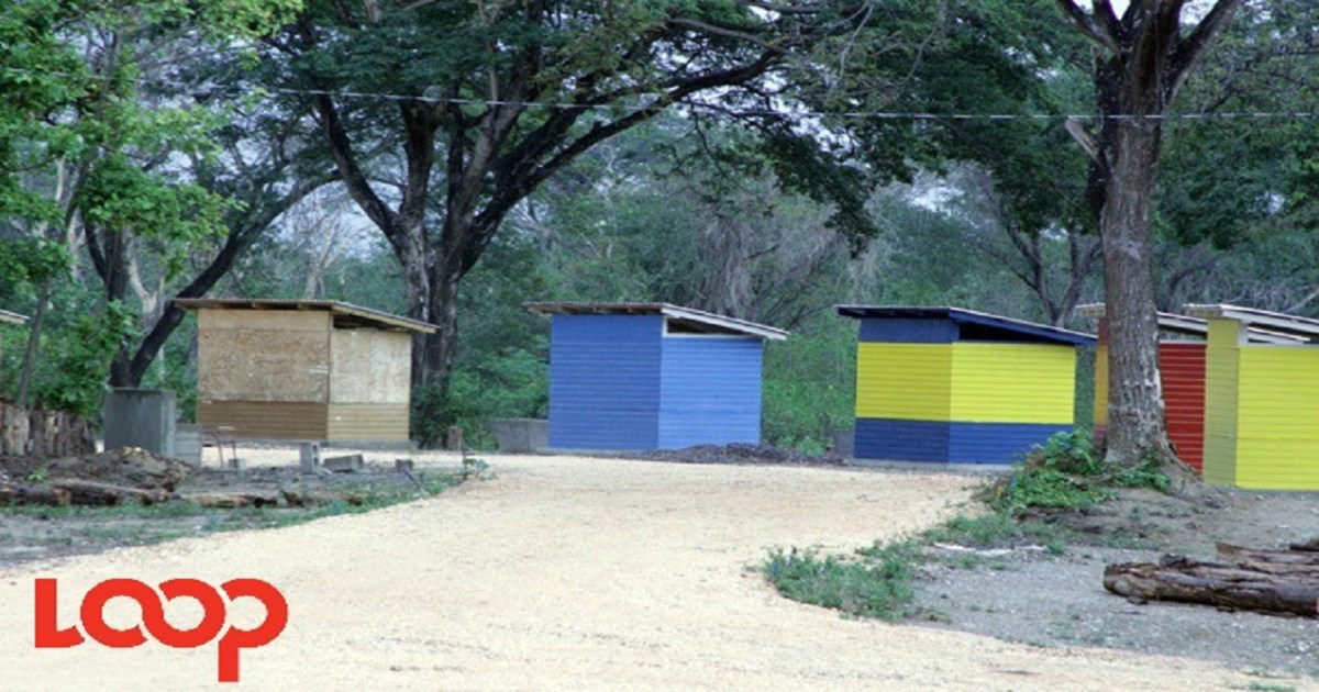 'Ackee Village' in Portmore seen as potential tourist attraction - Loop ...