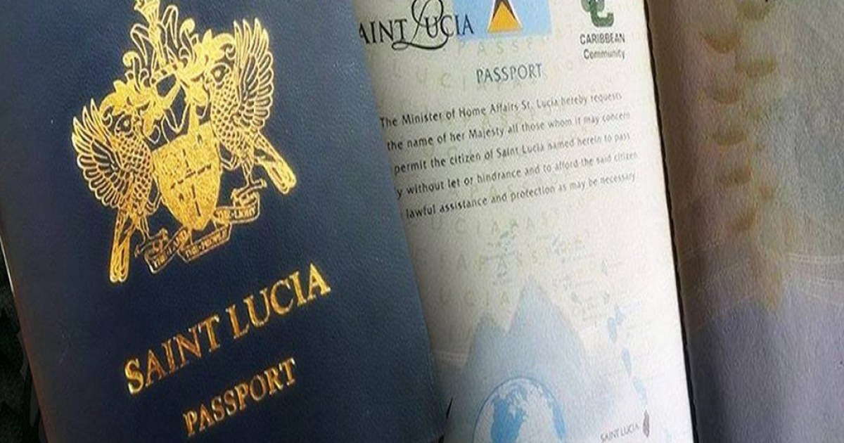 CIP Saint Lucia appoints new CEO - Loop News