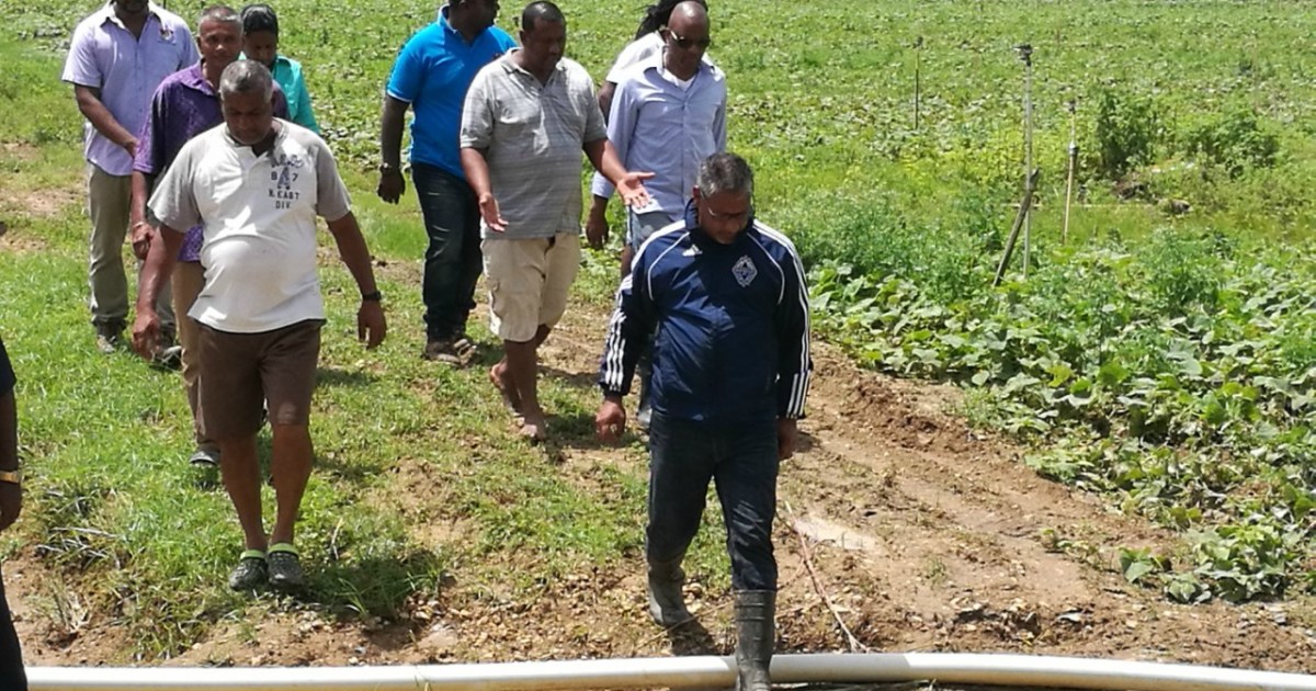 Mora Valley Farm workers await outstanding wages - Loop News