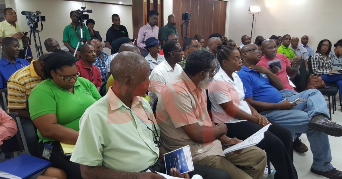 Farmers shelling out thousands, make crop thieves pay! - Loop News