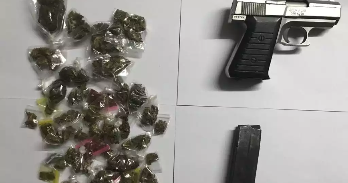 Gun, marijuana seized in Santa Cruz - Loop News