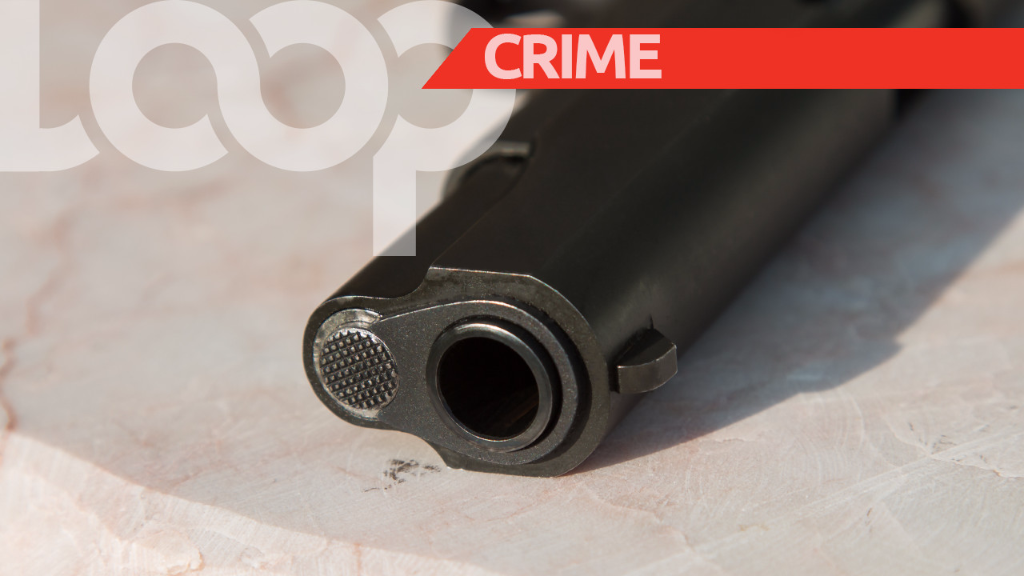 Gun, ammo found under coconut tree - Loop News