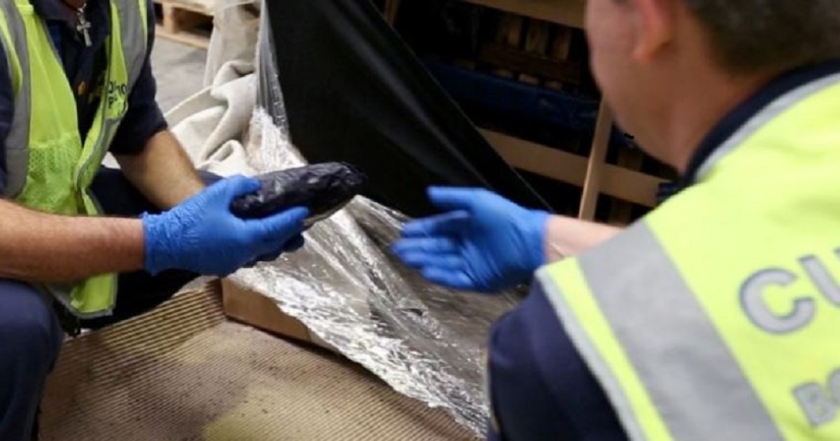 Online Immigration and Customs Declaration (C5) form coming - Loop News