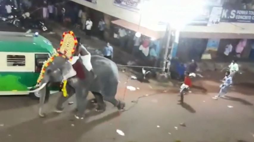 WATCH: Terrifying moment elephant runs amok in India temple festival ...