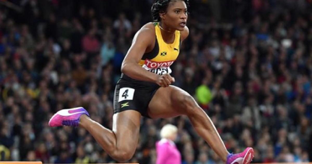 High and Low - Ristananna Tracey - Loop News