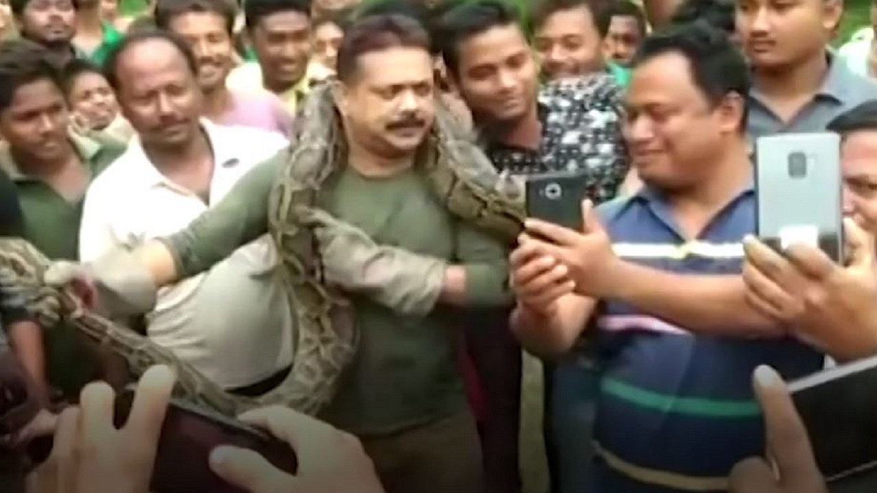 WATCH: Forest ranger’s python selfie turns bad - Loop News