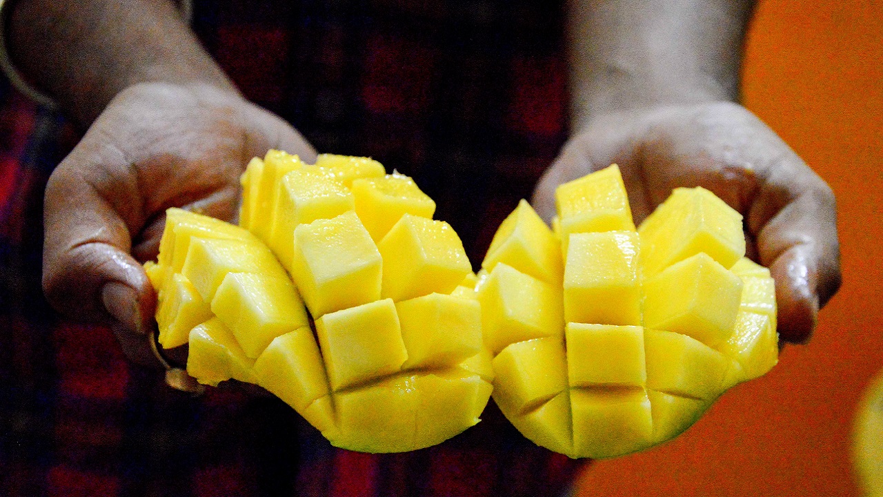 Mangoes: Health benefits and tasty dishes - Loop News