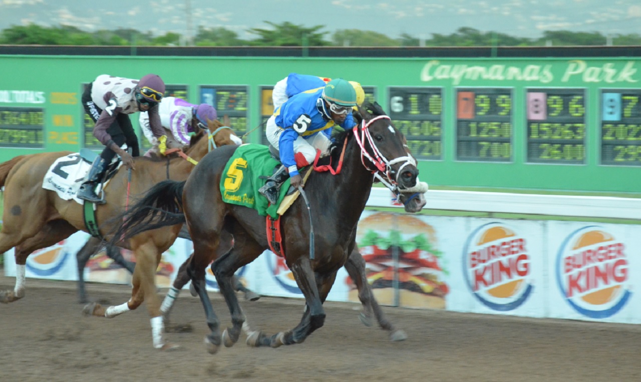 Peking Cruz takes 51/2-furlong overnight allowance sprint - Loop News