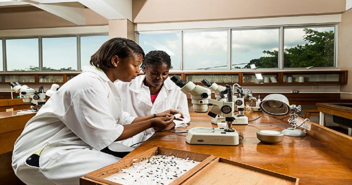 New rankings put UWI among top 5 percent of best universities globally ...