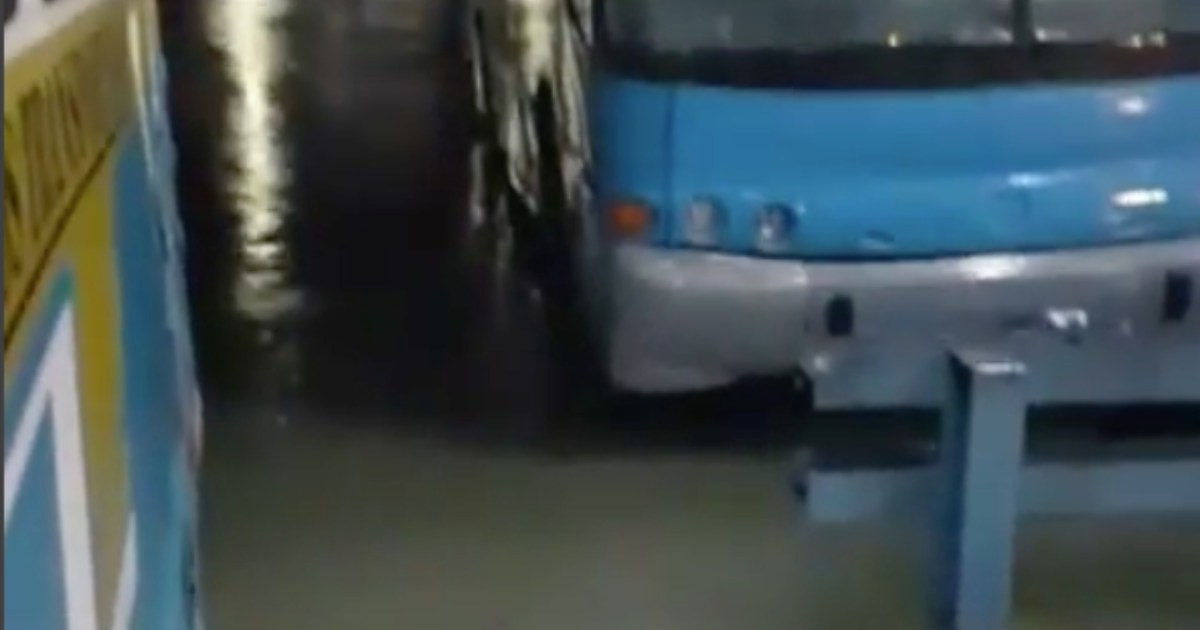 Buses trickling along as services are staggered - Loop News