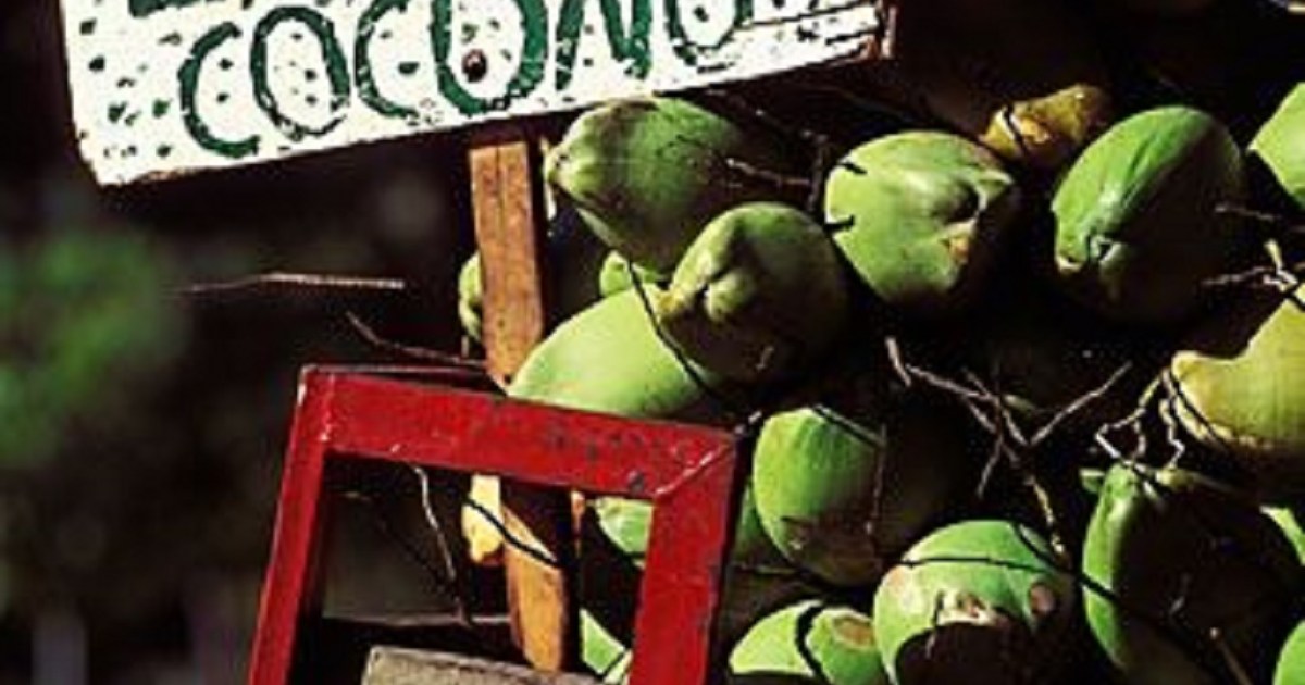 Caribbean farmers prepare for coconut boom - Loop News