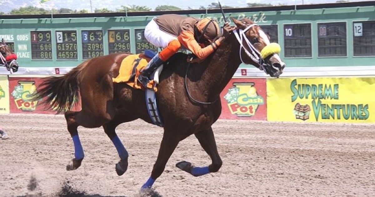Anthony Nunes saddles three winners at Caymanas Park - Loop News