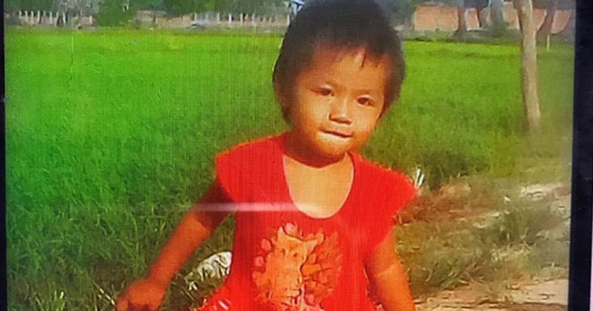 Girl, 2, eaten alive by crocodiles on family's farm in Cambodia - Loop News