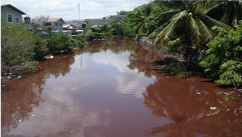 SUSPICION CONFIRMED: Algal growth caused red river flow in St Mary ...
