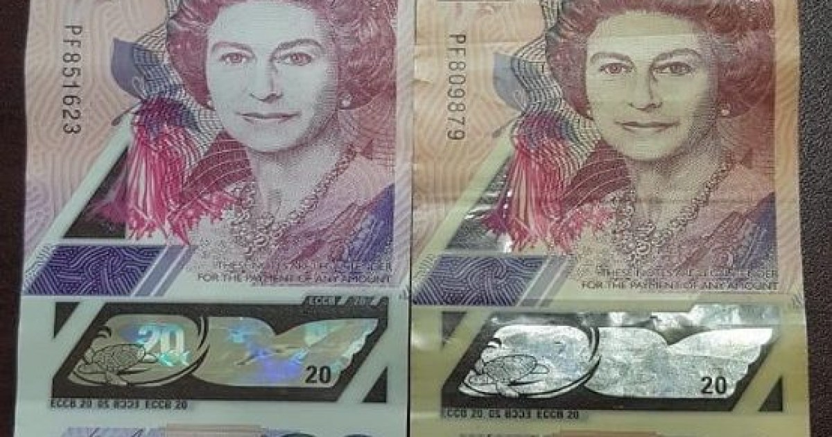 Commerce Minister concerned over counterfeit EC polymer notes - Loop News