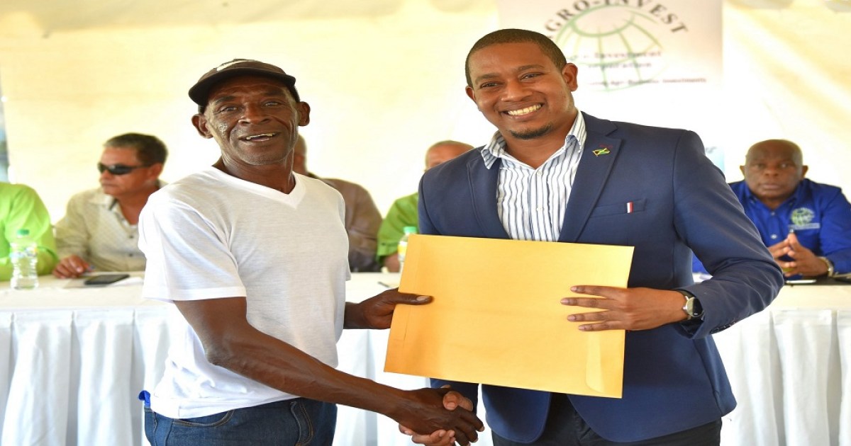 Leases handed over to former workers at Monymusk Sugar Factory - Loop News