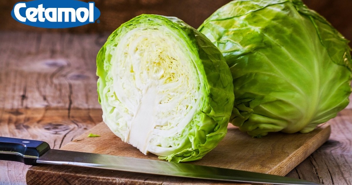 Botanical Roots: Why you should eat cabbage - Loop News