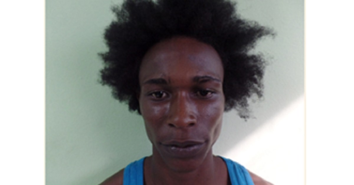 Another Hunts Bay escapee caught; five still at large - Loop News