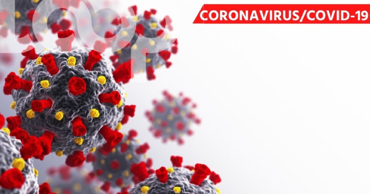 3-y-o among six new COVID-19 cases; tally now 517 - Loop News