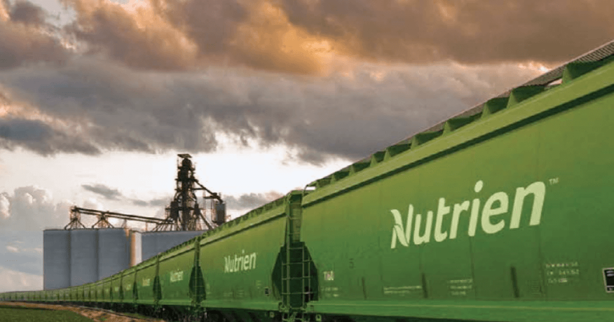 Young assures: Jobs unaffected as Nutrien ammonia plant goes idle ...