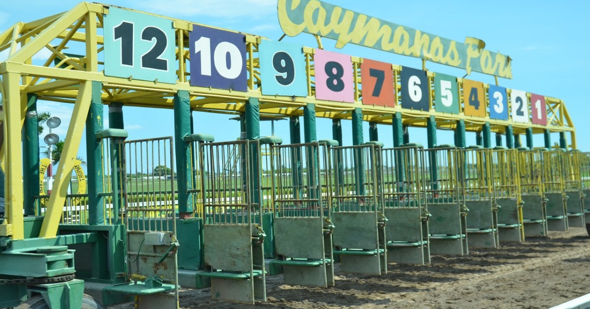 Racetrack operations scaled down at Caymanas Park due to coronavirus ...