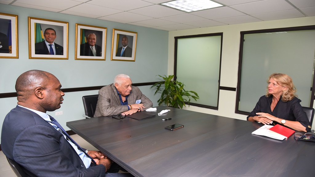 Henry calls for more women in farm work programme - Loop News