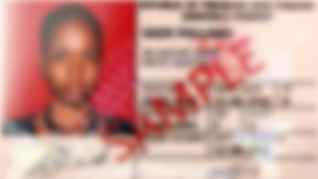 Expired driver’s permits valid until December - Loop News