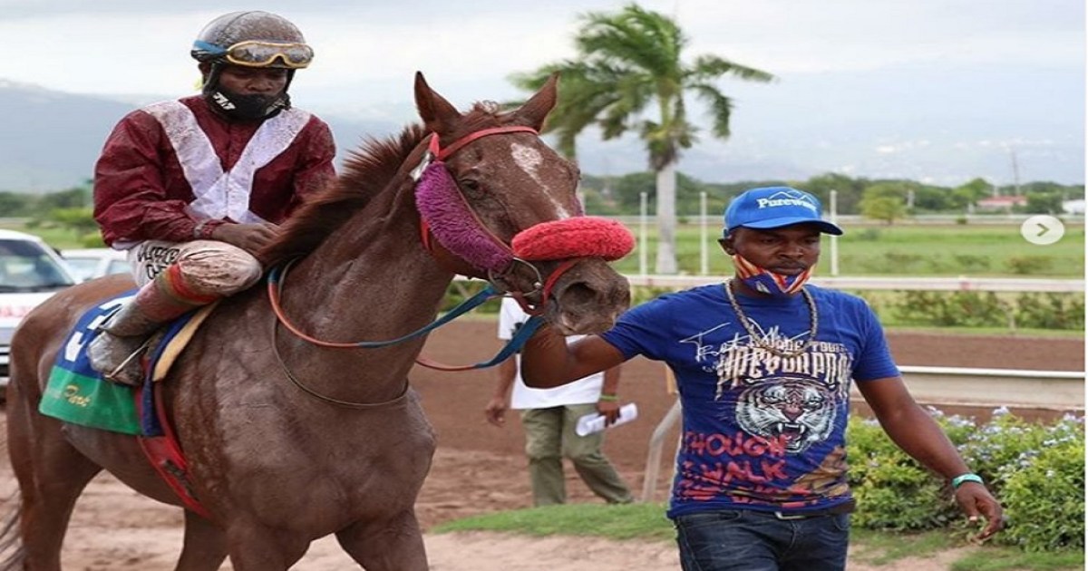 Dane Nelson dominates Saturday's race card with four winners - Loop News