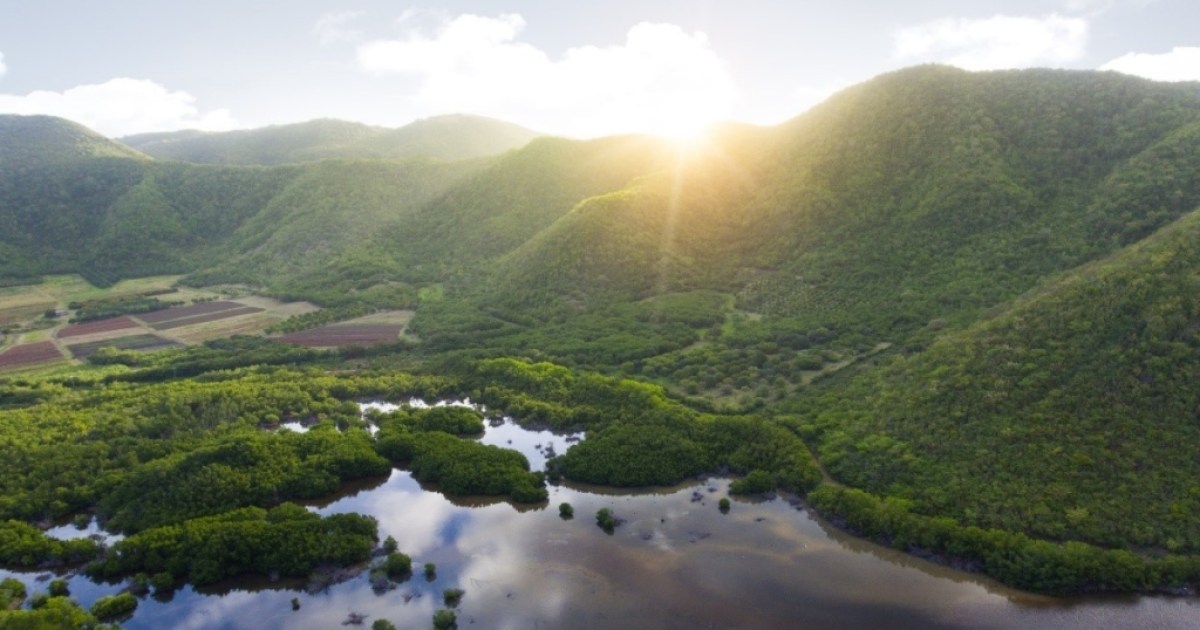 Antigua and Barbuda named 2021’s Emerging Sustainable Destination ...