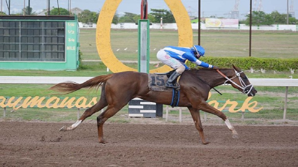 Take Another Affair in overnight allowance race - Loop News