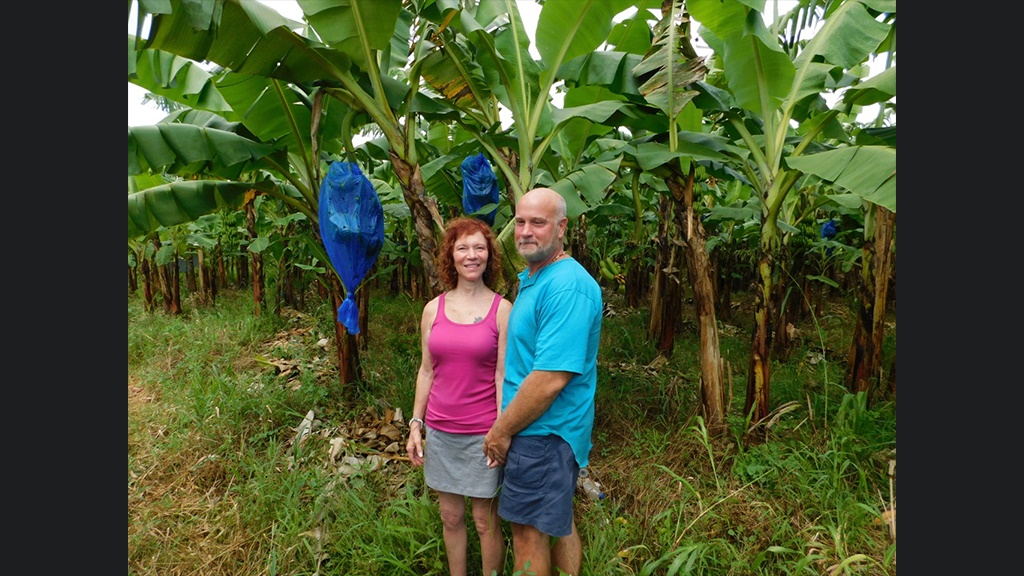 Sandals makes significant donation to the education sector - Loop News