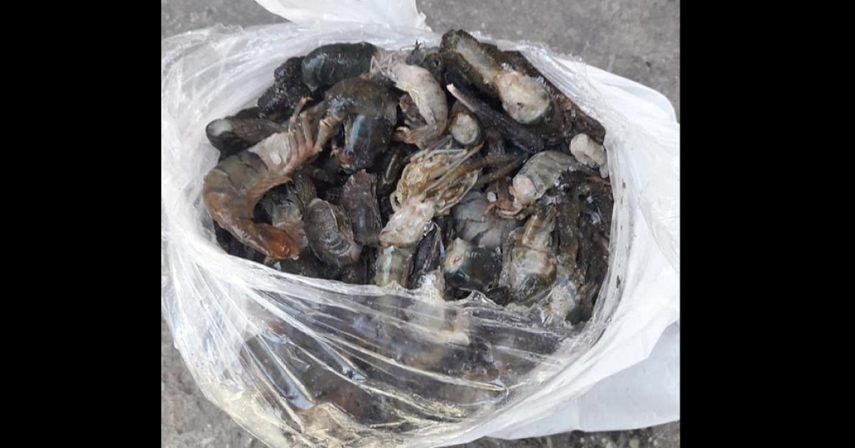 Vincentians warned about poisoned crayfish - Loop News