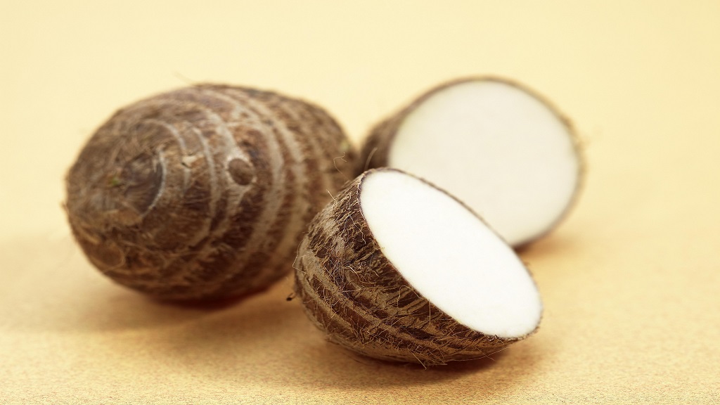 Botanical Roots: Why you should eat Dasheen - Loop News