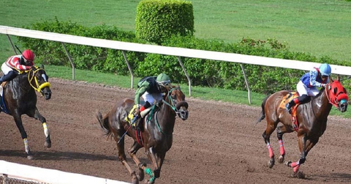 Big Jule rules at Caymanas Park - Loop News