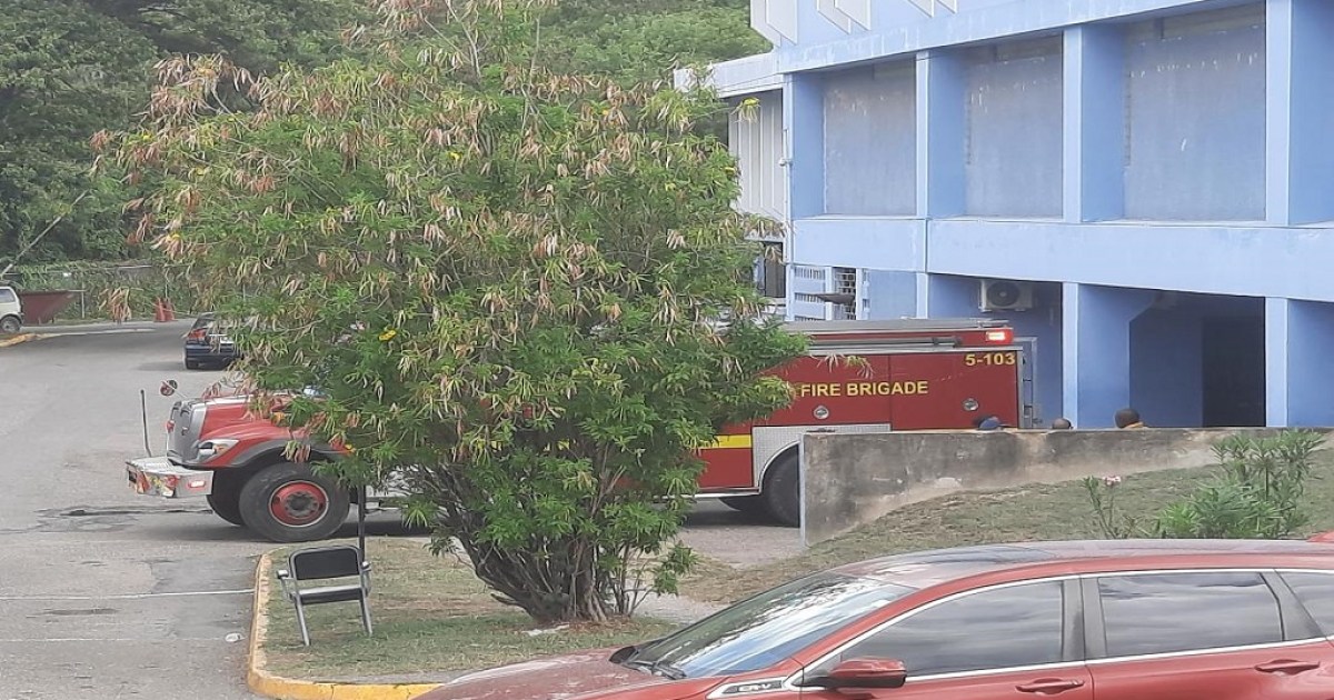 Constant Spring Tax Office partially reopens on Monday - Loop News