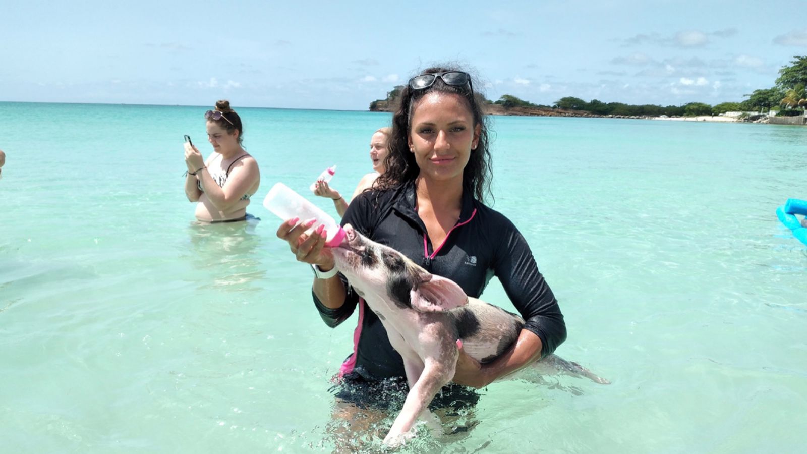 Antigua beckons you to swim with pigs in paradise - Loop News