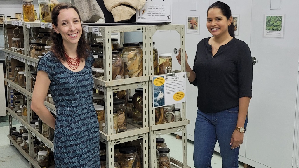 UWI's Life Sciences Dep't awarded €40,000 for biodiversity research ...