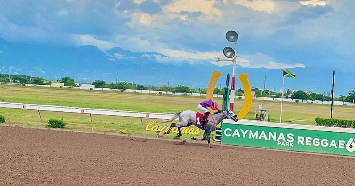 Big Jule wins by a distance in quick time at Caymanas - Loop News