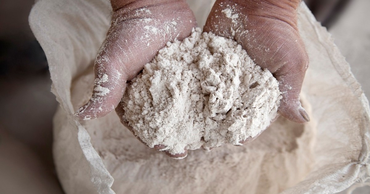 NFM revises flour price increase - Loop News