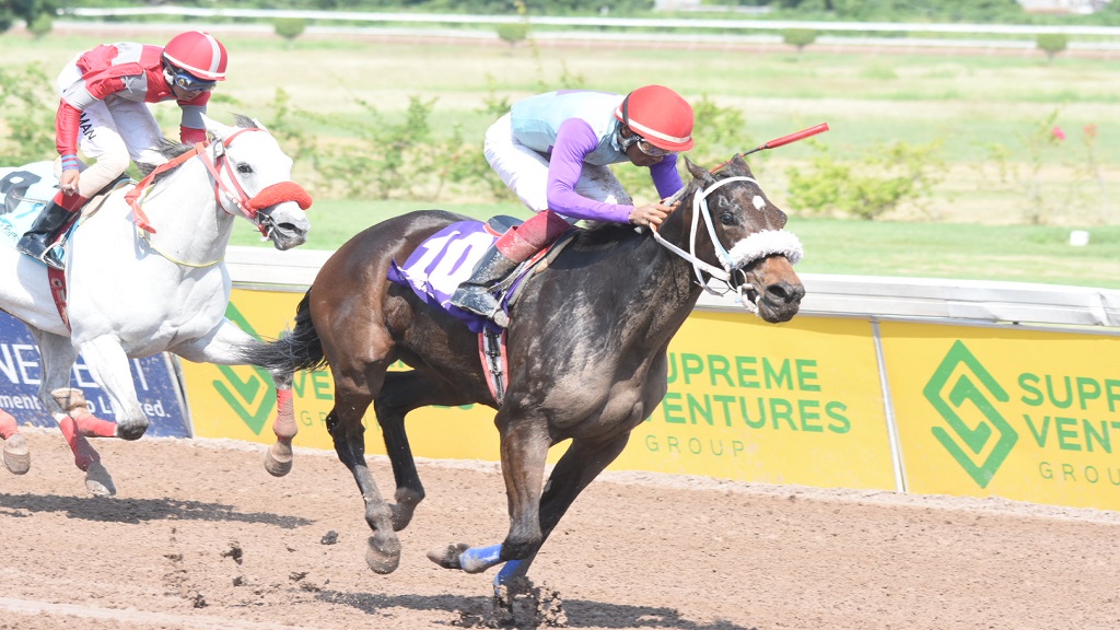 Double Crown to take charge of overnight-allowance field - Loop News