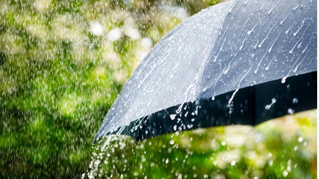 Jamaica weather: Expect showers this afternoon - Loop News
