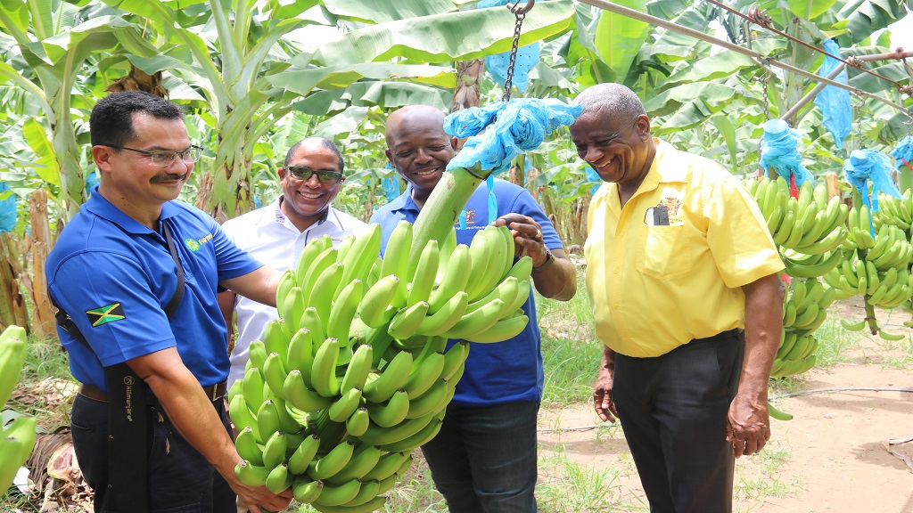 Agriculture minister commends JP Farm’s Grow Smart techniques - Loop News