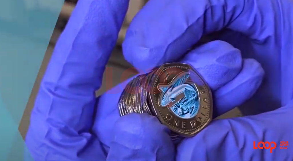 Barbados' Glow-In-The-Dark coin wins award - Loop News