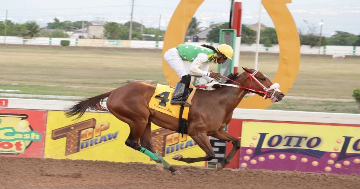 Luksol proves too hot for rivals in BetMakers Holiday Bonanza Trophy ...