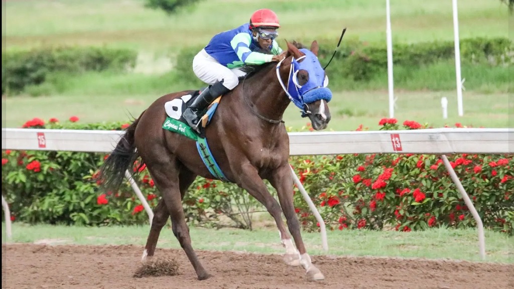 Mahogany looks a cinch in Eileen Cliggott Memorial - Loop News