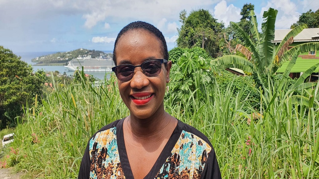 Where is the Integrity Commission on Banannes land sale? - Dujon - Loop ...