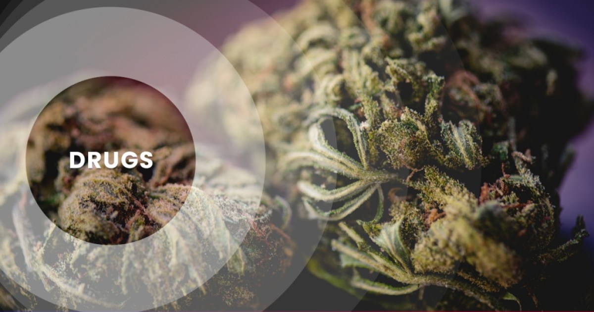 St Vincent: High grade marijuana found in container at port - Loop News