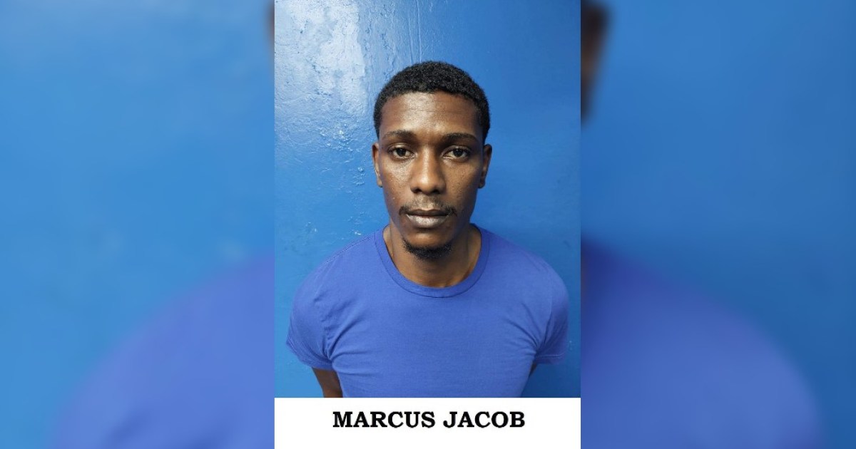 Former top cop's nephew granted $800K bail on murder charge - Loop News