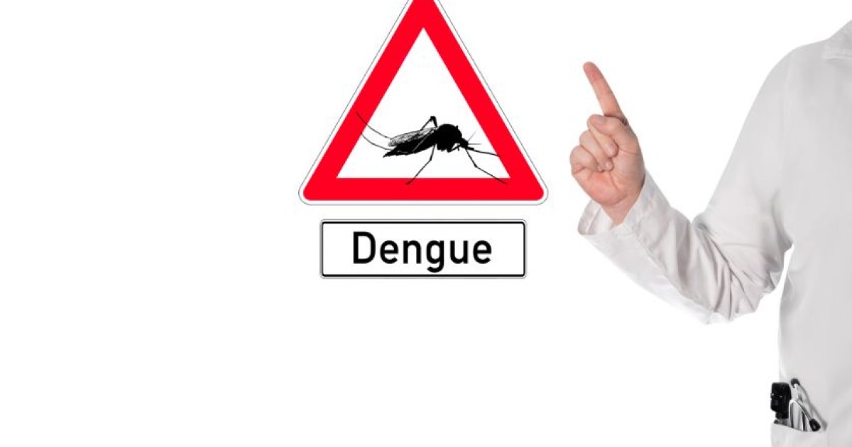 Suriname reports presence of dengue type three after 21 year absence ...