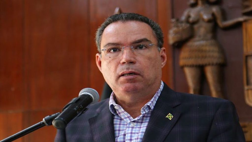 Vaz calls for full investigation after MoBay airport runway closure ...